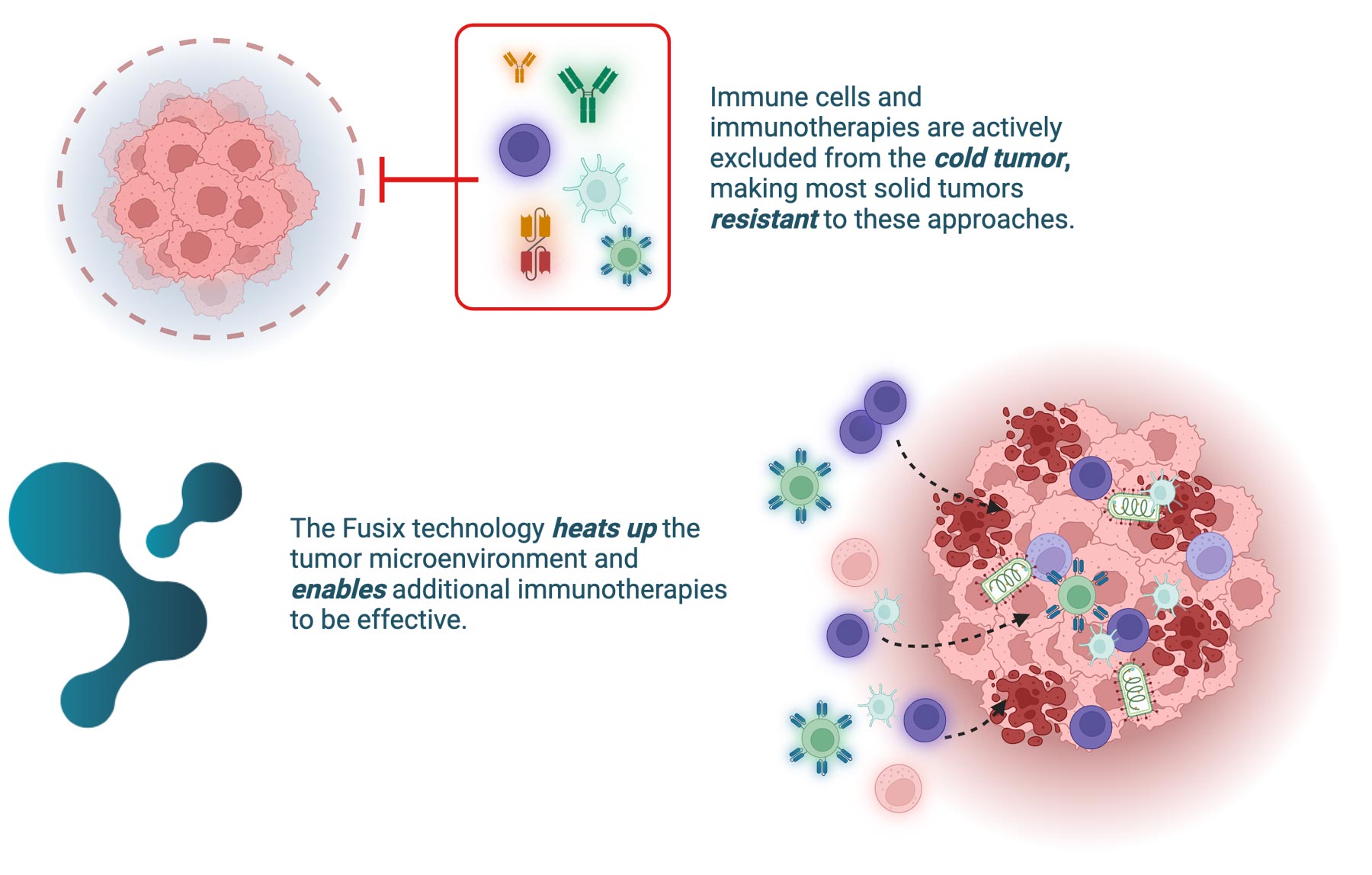 Our Approach - Fusix Biotech